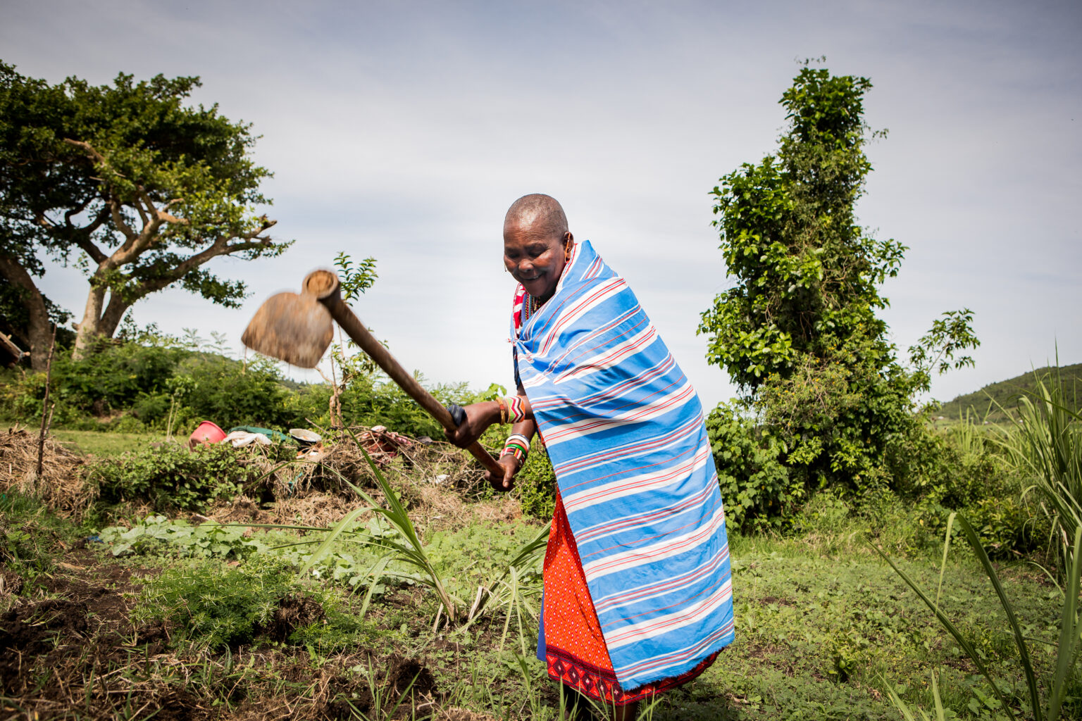 Reflections on Progress and Perseverance: International Day of Rural ...